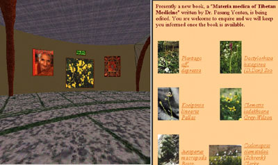 Biolearn Gallery Storyboard