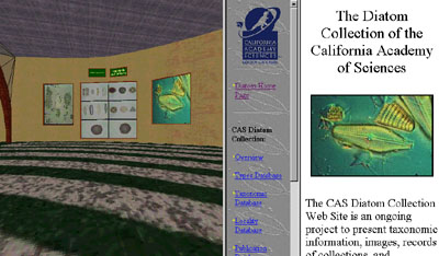 Biolearn Gallery Storyboard