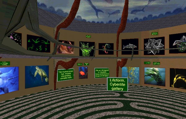 Biolearn Gallery Storyboard